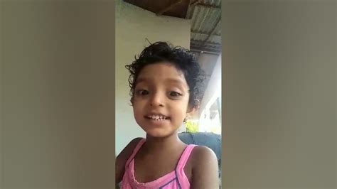 මේ ගසේ බොහෝ පැණි දොඩම් තිබේ 🤗😀😍 අපි පොඩි කාලේ කියපු සිංදුවක් Youtube