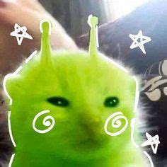 Alien Cat Pfp