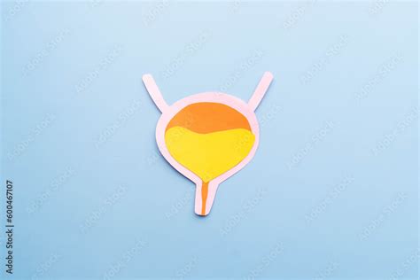 Bladder Organ Shape Made From Paper On Light Blue Background Awareness Of Bladder Cancer