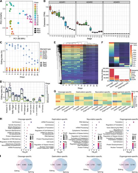 A To I Editing Landscape Across Development Of X Laevis A PCA Plot Download Scientific