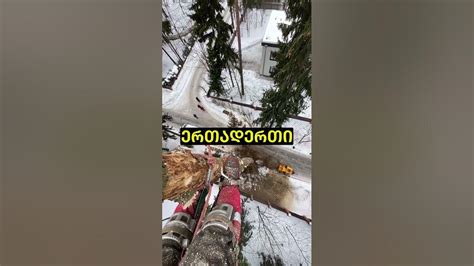 🤴მეფე და სამყაროს სიბრძნე წყარო ბოდო შეფერი “იფიქრე როგორც მდიდარმა” მეფე სიბრძნე