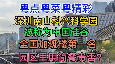 粤点粤菜粤精彩，深圳南山科兴科学园，被称为中国硅谷，全国加班楼第一名，园区里用简餐贵否？粤语中字幕 Youtube