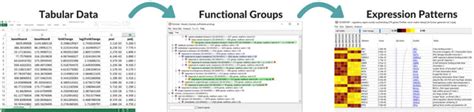 The Biostar Handbook Bioinformatics Training For Beginners