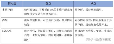 【5分钟讲透实验】影响免疫荧光（if）实验结果的因素综述 知乎