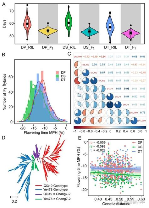 The Crop Journal 中国农科院作科所揭示zmcct10启动子甲基化影响玉米杂交种开花期的机制 知乎