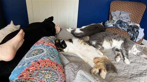Sick Day Cuddle Puddle R Thecuddlepuddle