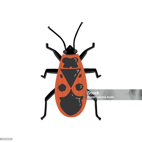 Firebug Stock Illustration Download Image Now Animal Animal Antenna Animal Wildlife Istock Firebug Stock Illustration Download Image Now Animal Animal Antenna Animal Wildlife Istock