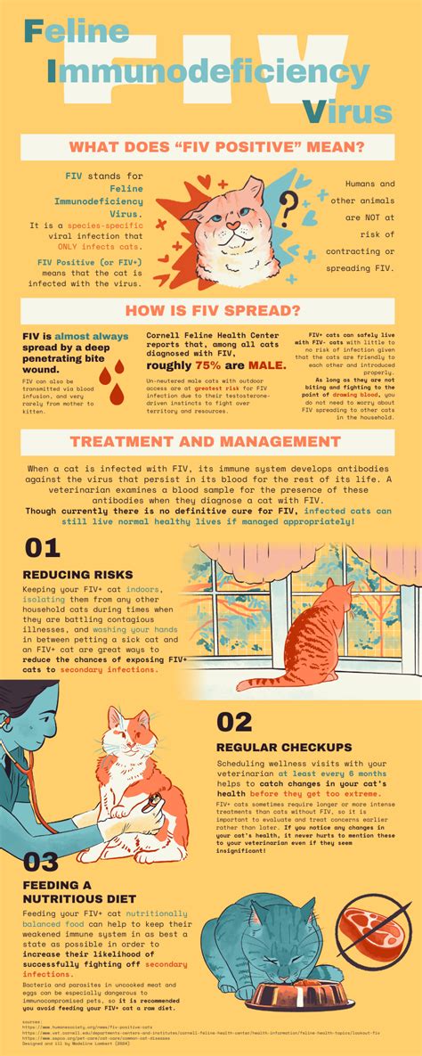 Caring For A Cat With Feline Immunodeficiency Virus Wgctr