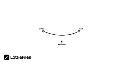 Free Antinode And Node Explanation Animation By Joana Barreira