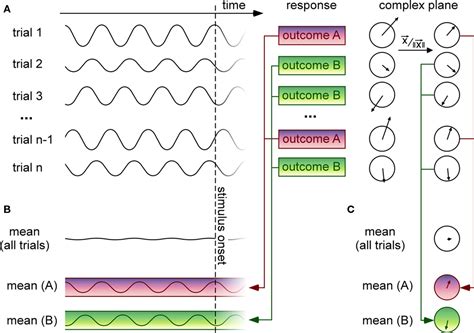 Electroencephalography Phase Synchronization EEG Phase Desynchronization EEG Phase