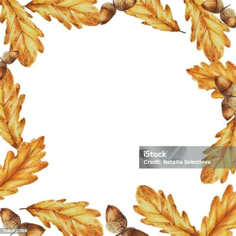 가을 떡갈나무 잎과 도토리가 분리된 수채화 프레임 추수감사절 디자이너를 위한 할로윈 일러스트레이션 스크랩북 디자이너 엽서 파티