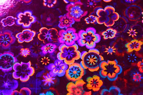 무료 이미지 꽃잎 꽃 무늬의 색깔 종이 원 디자인 만화경 홀로그램 무지개 빛깔의 매크로 사진 꽃 피는 식물 인화지 건설 용지 컴퓨터 벽지 육상