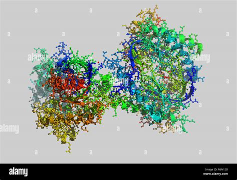 Enzyme Structure High Resolution Stock Photography And Images Alamy