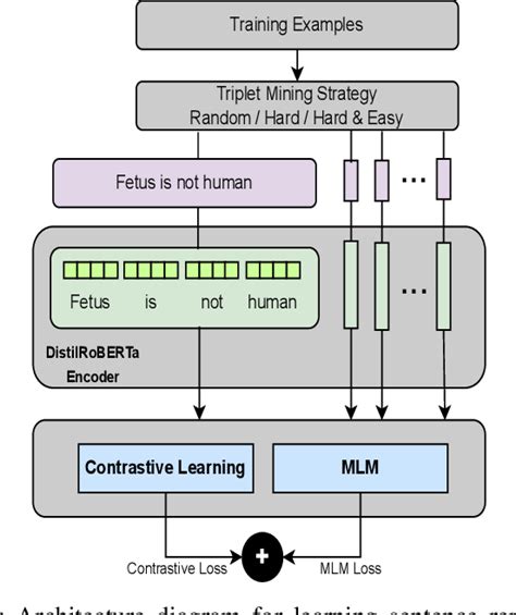 Figure 1 From Learning Representations Through Contrastive Strategies For A More Robust Stance