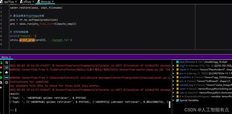 raise valueerror ‘only know how to handle png； with pillow ‘valueerror