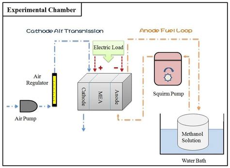 Schematic Diagram Of Experimental Apparatuses For Single Dmfc