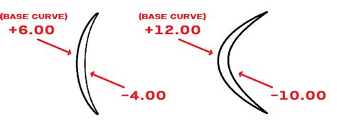 Introduction To Lenses The Base Curve The Lost Contacts