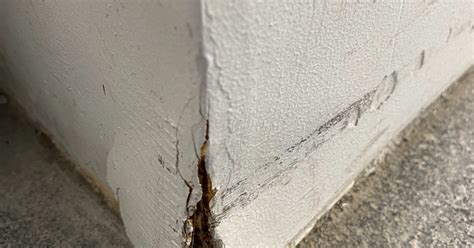 의류매장 외벽 몰딩 퍼티 견적문의 숨고 숨은고수