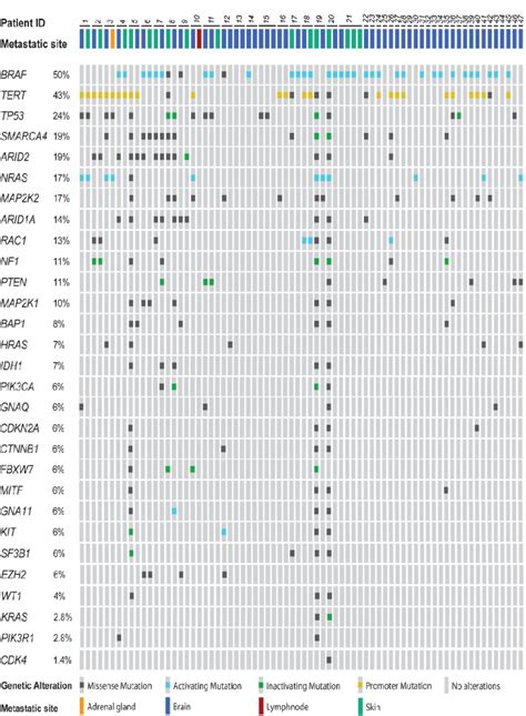 Help How To Use Complexheatmap Or Oncoprint Libraries For Non Medical