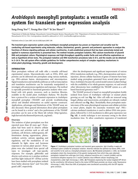 Pdf Arabidopsis Mesophyll Protoplasts A Versatile Cell System For Transient Gene Expression