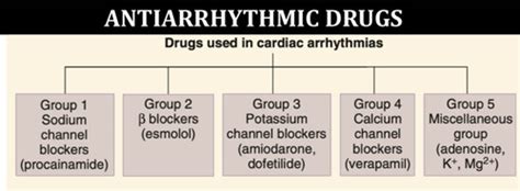 Antiarrhythmic Drugs Flashcards Quizlet