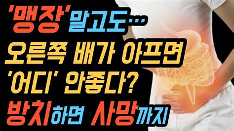 맹장말고도 오른쪽 배가 아프다면 어디 안좋다 이 통증을 방치하면 사망에 이를 수도 있습니다 다양한 주요 장기 위치한 복부위치에 따라 원인 다를 수 있어