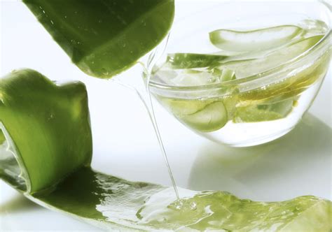 주코씨드바이오팜