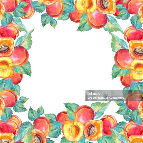 복사 공간 살구와 녹색 잎이 있는 수채화 사각형 프레임 빨간 오렌지 손으로 그린 과일 절연 통하고 있는 백색 배경 달콤한 디저트 여름 음식 메뉴 또는 벽지 랩 핑 및 초대