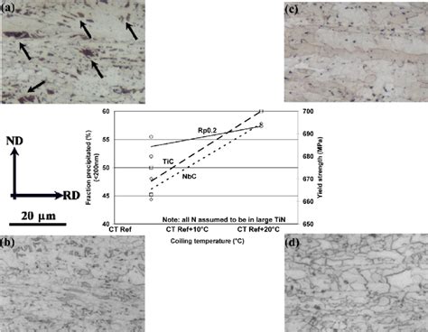Effect Of The Coiling Temperature On The Microstructure The Download Scientific Diagram