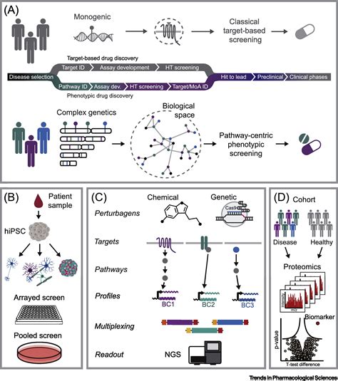 Cell Based Assays Vs Biochemical Assays At Randall Graves Blog
