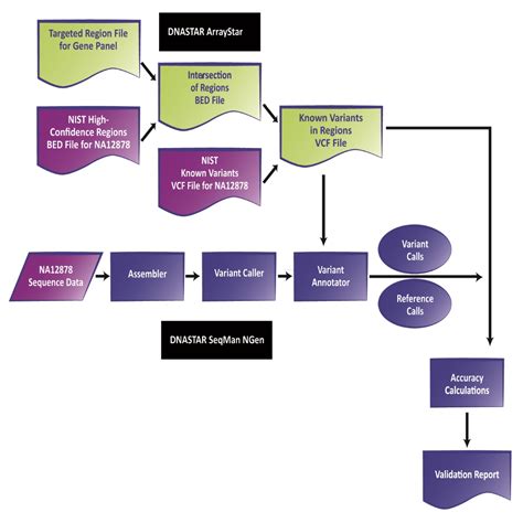 Validating Next Generation Sequencing Based Genetic Tests Scientist Live