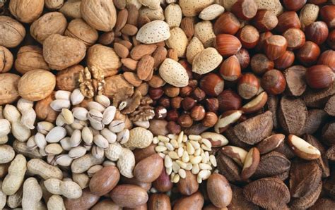 몸에 좋은 견과류 이렇게 보관했다면 먹지 말고 버리세요 당신의 건강가이드 헬스조선