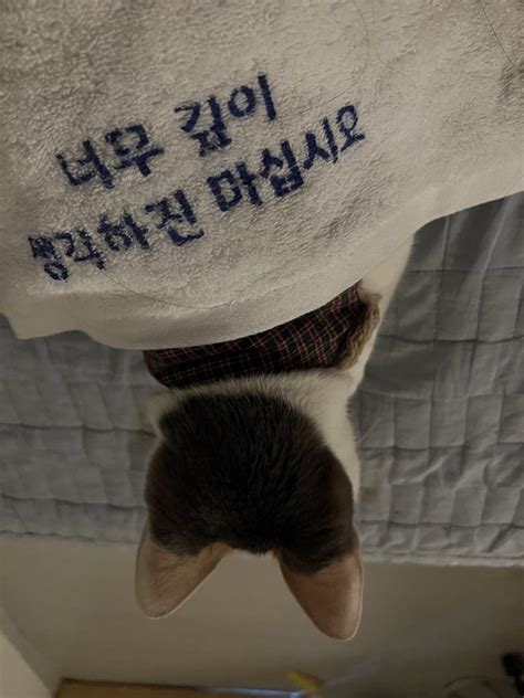 항해99 취업 리부트 코스 학습일지 1주차 Til2