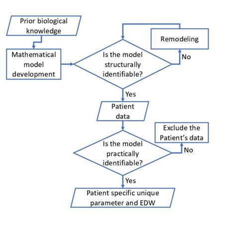 The Flowchart Illustrates The Process Of Modeling Tumor Dynamics And
