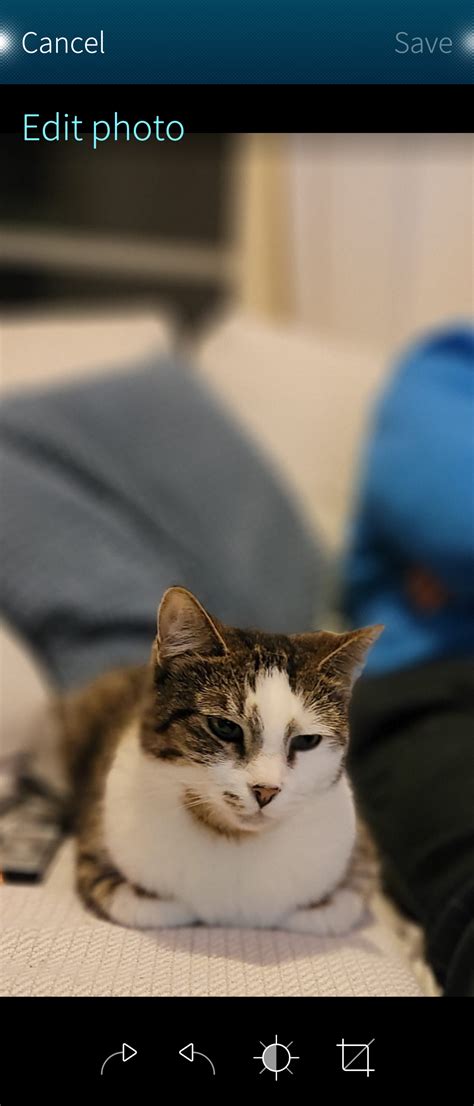 Gallery Sailfish OS Documentation