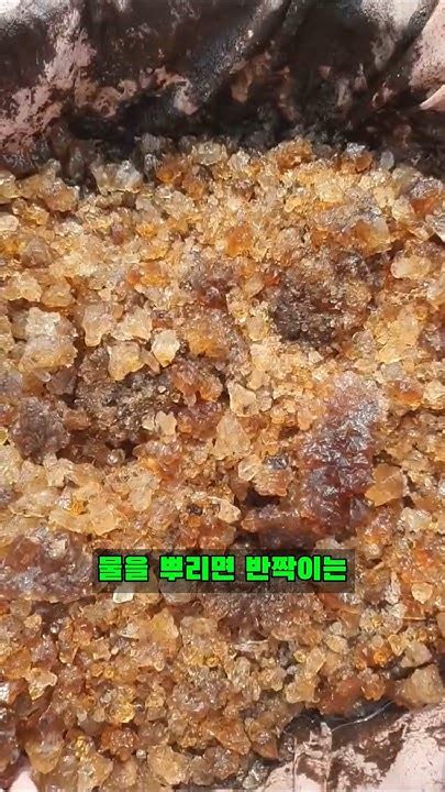 바닷물 끓이면 소금 그런데 각 나라 반응은 이렇게 다르다 Youtube