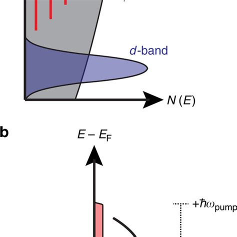 Hot Electron Distributions From Intraband Excitation A Representative Download Scientific