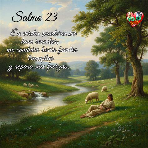 Salmo 23 El Buen Pastor Voces De Amor Y Vida