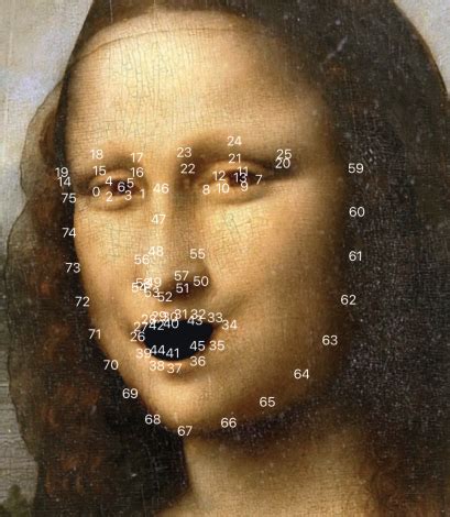 Ios IOS Vision Framework Mapping All Face Landmarks Stack Overflow