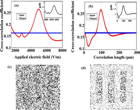 The Cross Correlation Coefficient And Gain A The Output Versus The Download Scientific