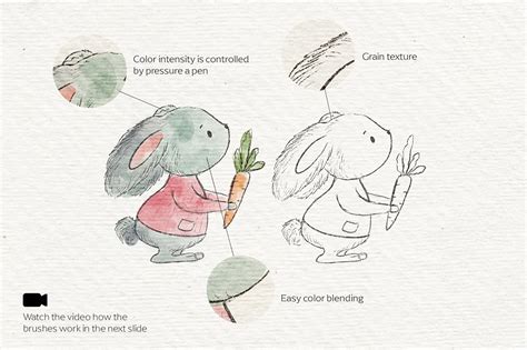 水彩 And 铅笔 Procreate笔刷 Procreate笔刷库 入门绘画教程，全明星笔刷下载