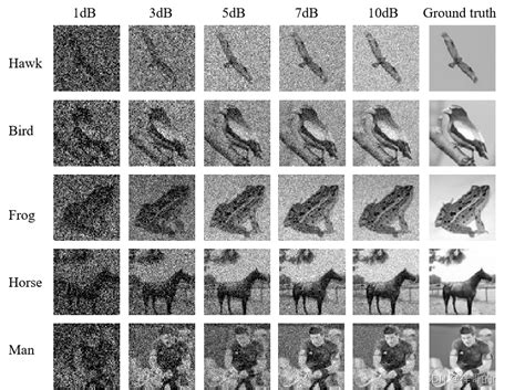 泊松噪声（附matlab代码） Csdn博客