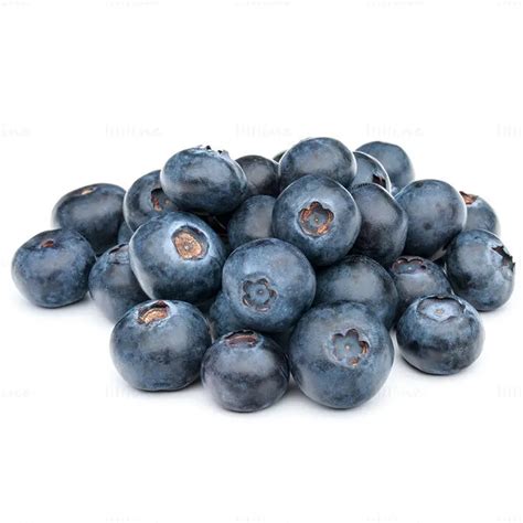 Blueberry Image