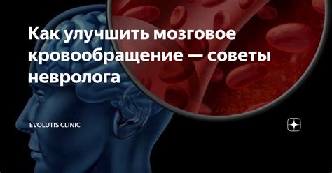 Как улучшить мозговое кровообращение — советы невролога Evolutis Clinic Дзен