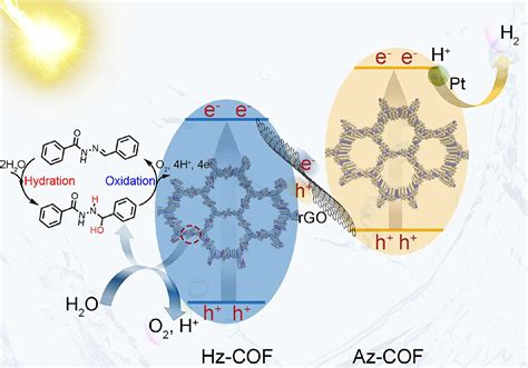 Spatially Separated Photoredox In A Covalent Organic Frameworks Heterostructure Boosting Overall