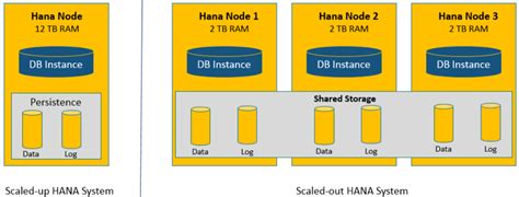 Sap Hana Native Storage Extension Nse Qanda Questions And Answers