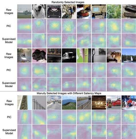 More Visualizations Of The Normalized Saliency Map Download Scientific Diagram
