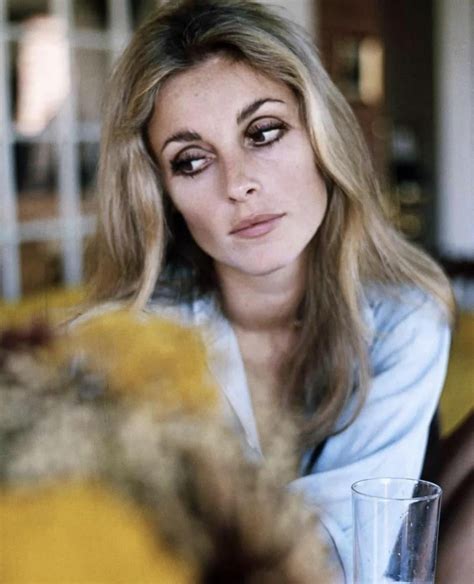 Sharon Tate 1960s R Oldschoolcool