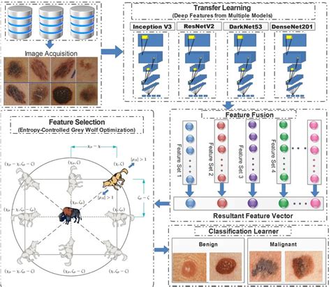 Detailed Illustration Of Proposed Skin Lesion Classification Framework Download Scientific