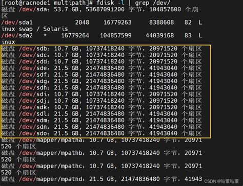 六、oracle11g rac集群搭建 修改共享磁盘名称 oracle rac集群 csdn博客